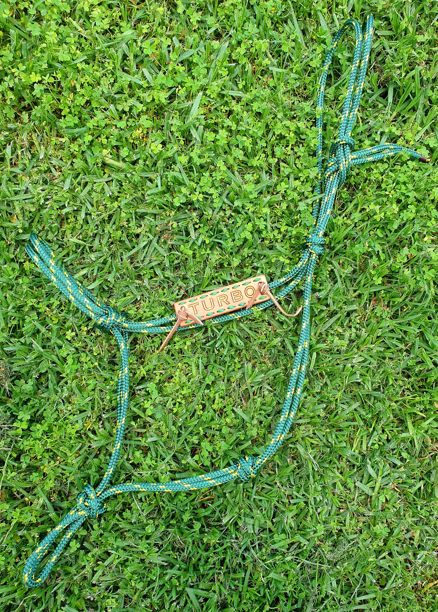 STANDARD ROPE HALTER with LEATHER NAME PLATE – BLUE ROAN ROPES and TACK